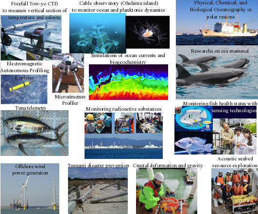 Course of Marine Resources and Environment | OQEANOUS Plus Program